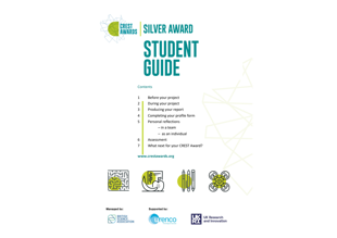 Silver | CREST Awards