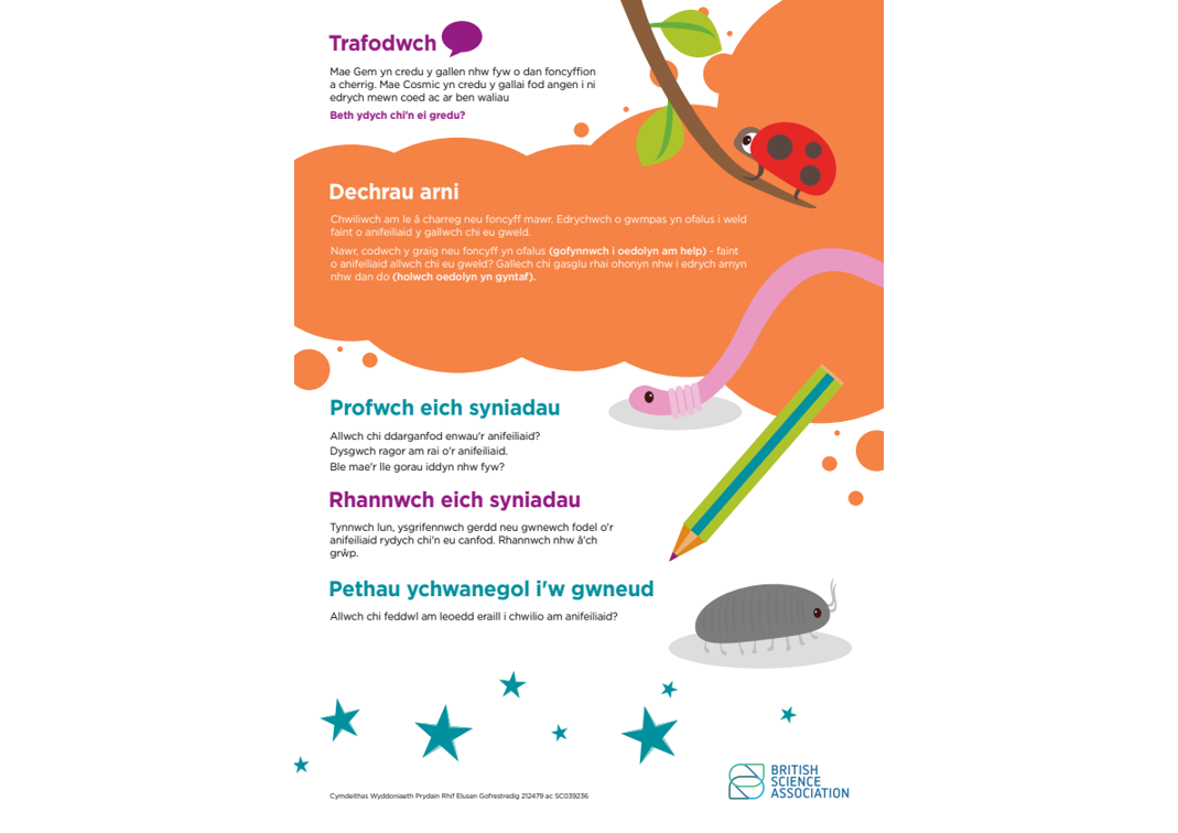 CREST Star Challenges Collection - Welsh language | CREST Awards